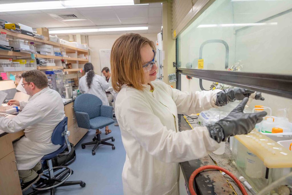 Master's and Certificate Programs | Clark University