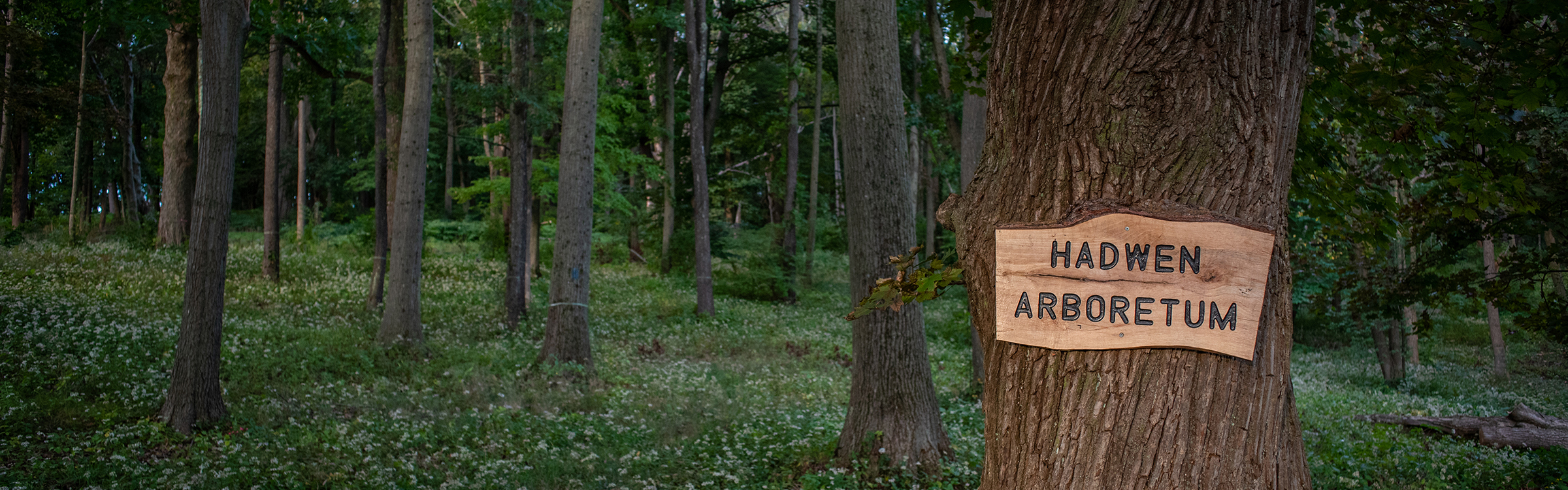 Hadwen Arboretum | Campus Map | Clark University