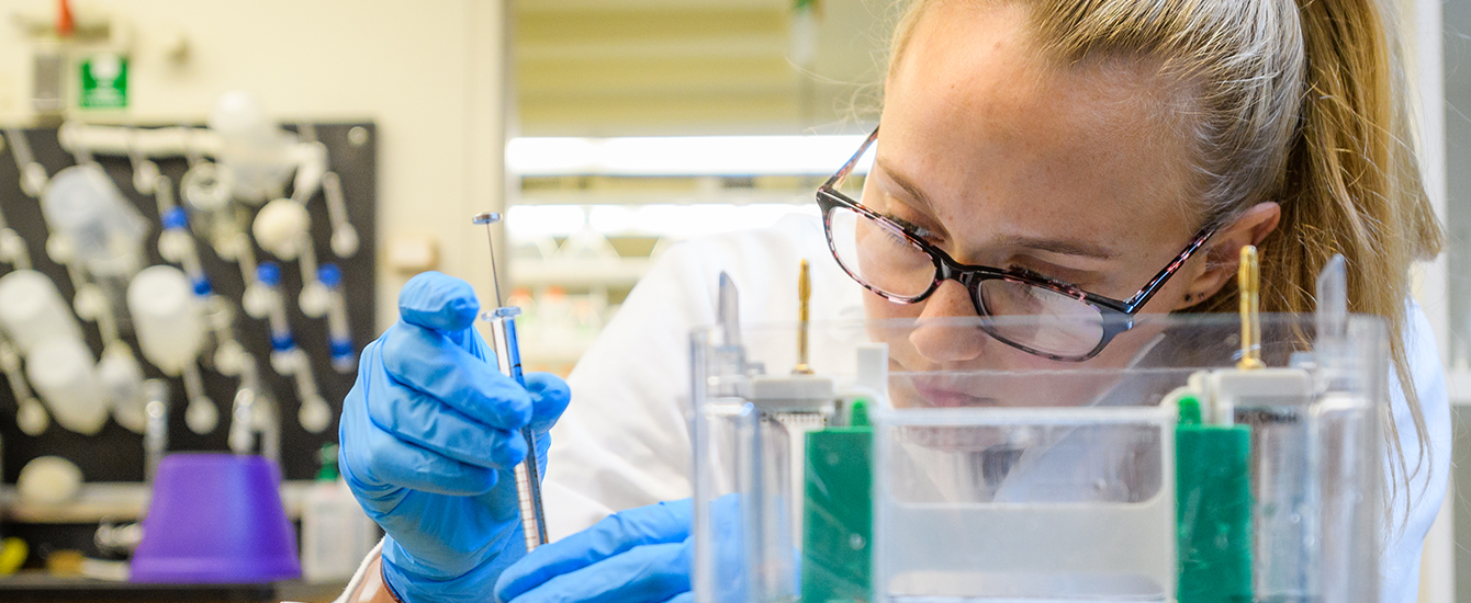 Gain Experience | Career Connections Center | Clark University